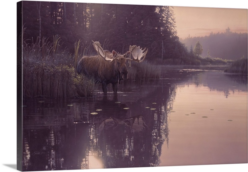 Backwater Bull | Great Big Canvas
