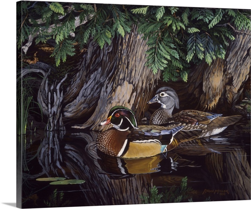 Backwater Refuge | Great Big Canvas