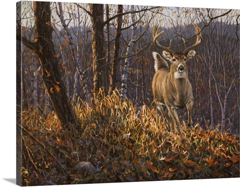 Backwoods Runner | Great Big Canvas