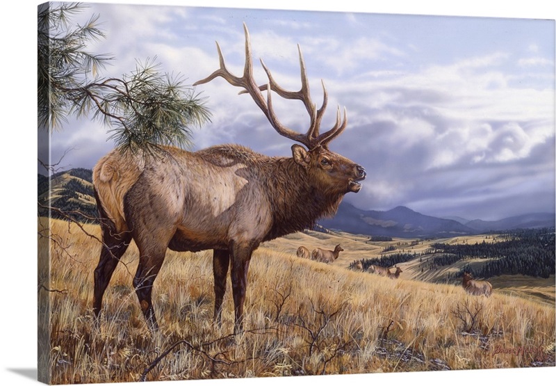 Big Sky Bugler | Great Big Canvas