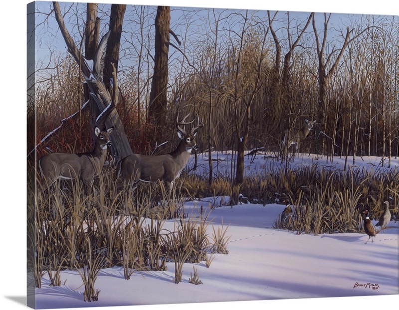 December Dawn | Great Big Canvas