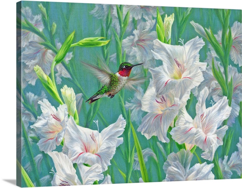 Garden Dance - Hummingbird And Gladiola V | Great Big Canvas