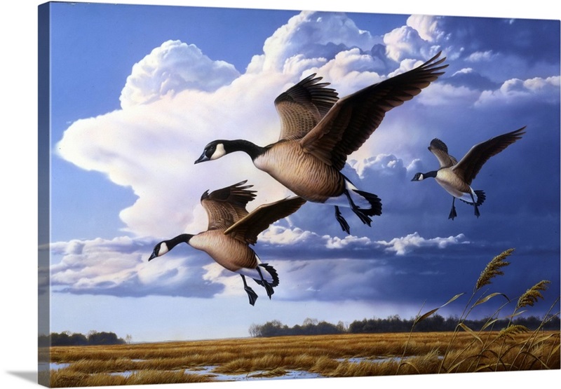 Geese | Great Big Canvas