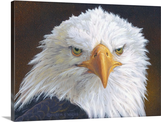 Intense Stare Wall Art, Canvas Prints, Framed Prints, Wall Peels ...