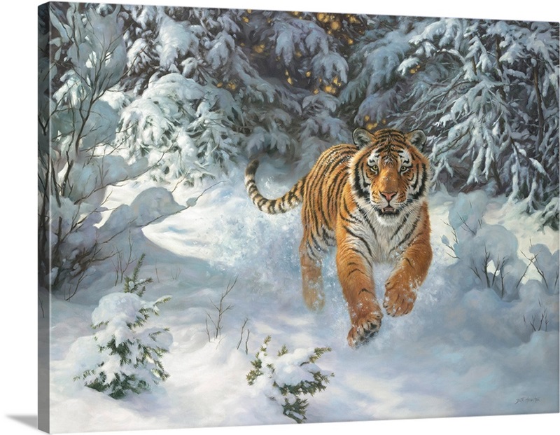 Siberian Emperor - Siberian Tiger | Great Big Canvas