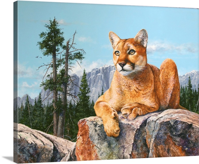 The Overlook | Great Big Canvas