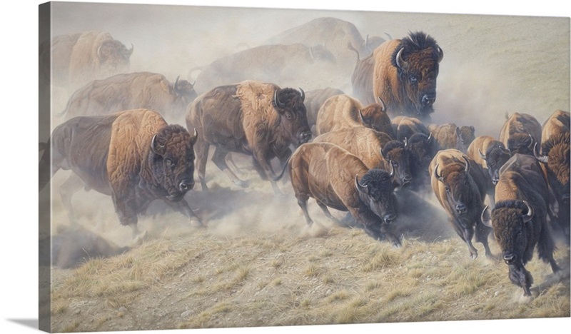 Thunder And Dust | Great Big Canvas