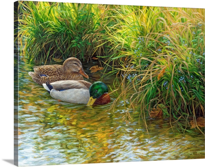 Tranquil Waters - Mallard Ducks | Great Big Canvas
