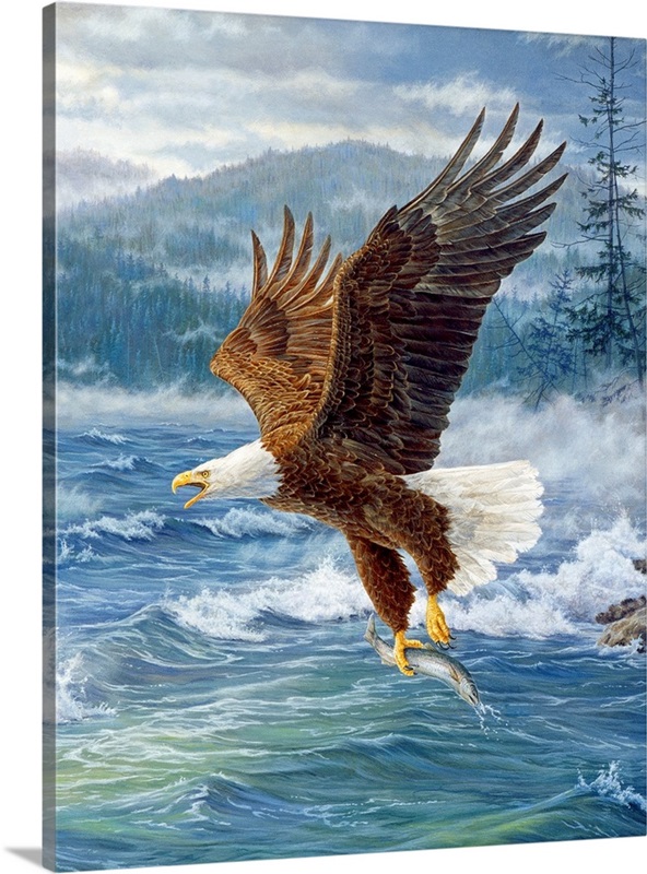 Winged Victory - Bald Eagle | Great Big Canvas