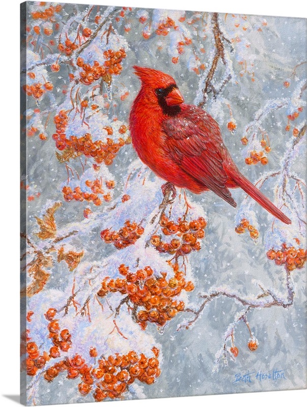 Winter's Prince - Cardinal | Great Big Canvas