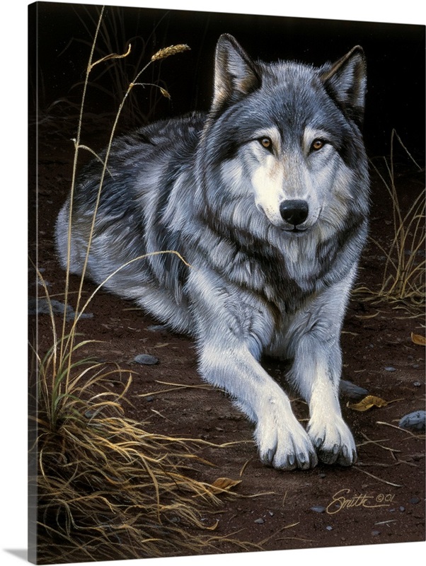 Wolf Portrait | Great Big Canvas