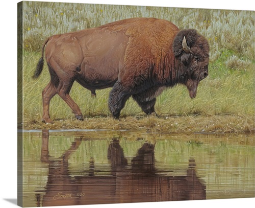 Yellowstone Reflections | Great Big Canvas