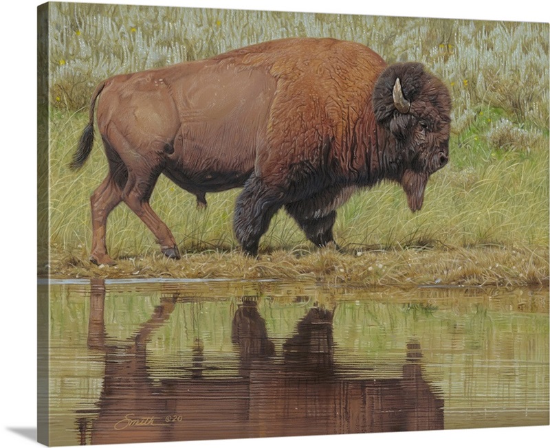 Yellowstone Reflections | Great Big Canvas