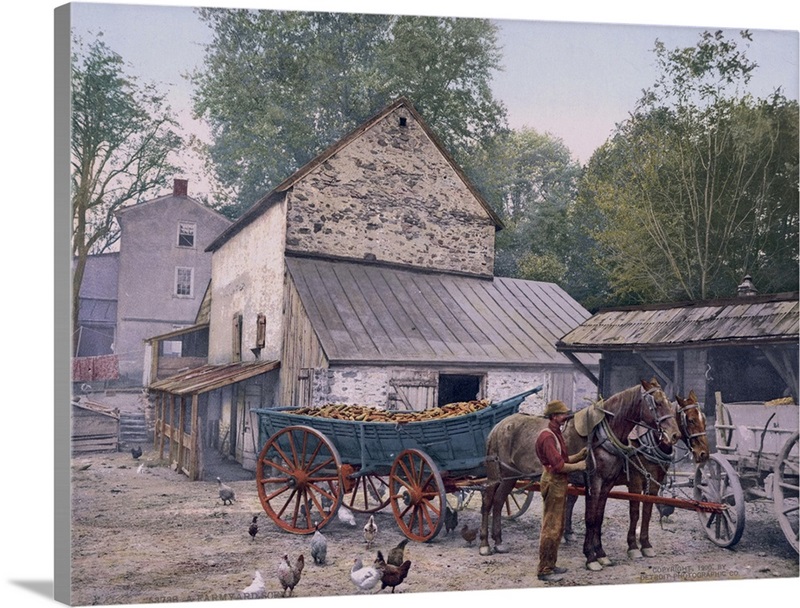 A Farmyard Scene | Great Big Canvas
