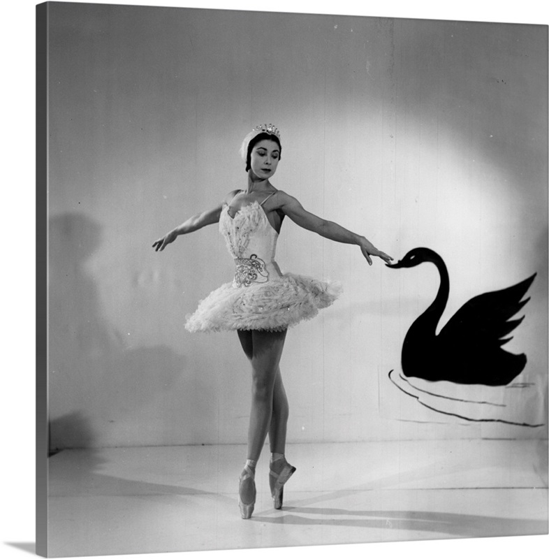 Fonteyn | Great Big Canvas