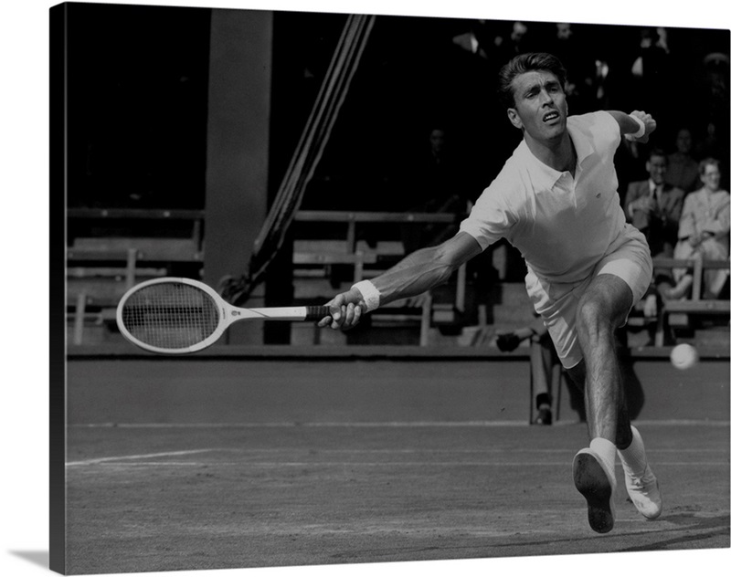 Sirola | Great Big Canvas