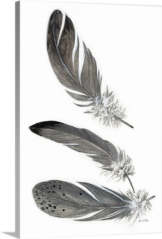 Feather Study III | Great Big Canvas