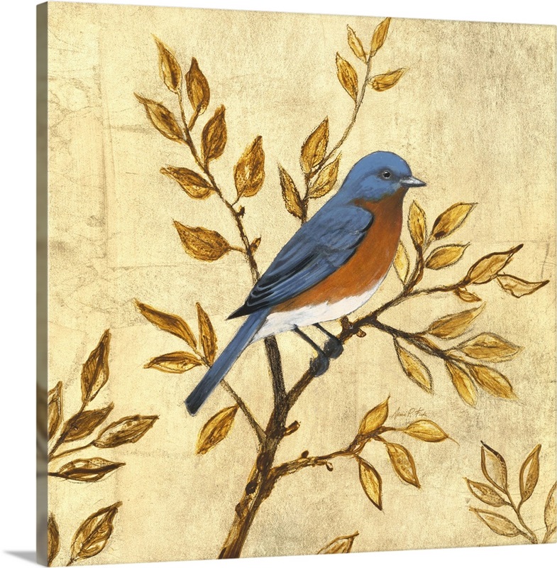 Golden Bluebird | Great Big Canvas
