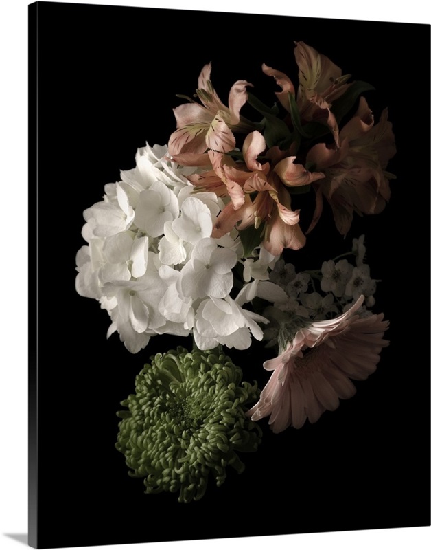 Midnight Hydrangea | Great Big Canvas
