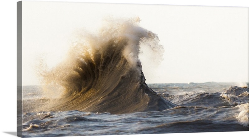 Rogue Wave | Great Big Canvas