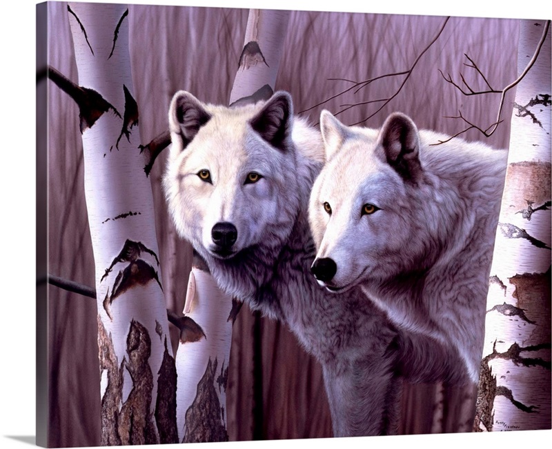 A Pair Of White Wolves | Great Big Canvas