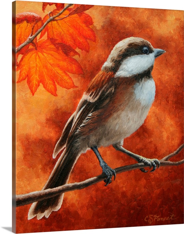 Autumn Chickadee | Great Big Canvas