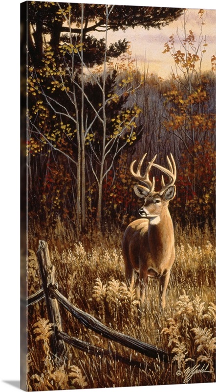 Autumn Whitetail | Great Big Canvas