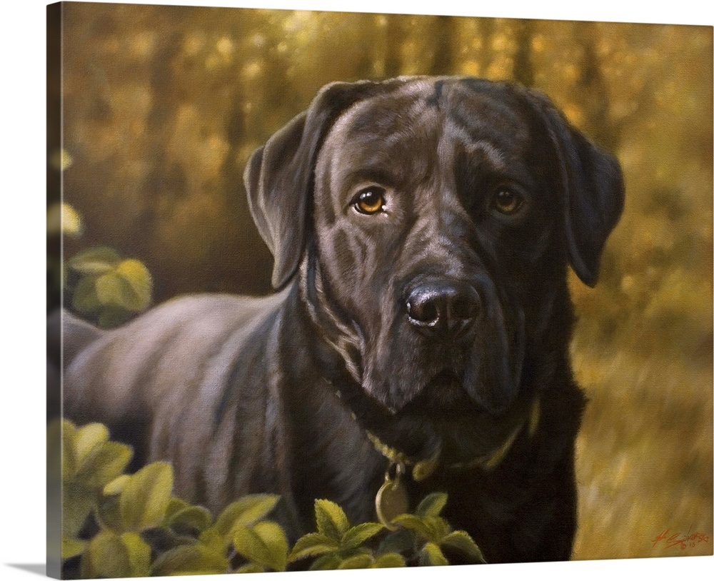 Black Lab Autumn Wall Art, Canvas Prints, Framed Prints, Wall Peels ...