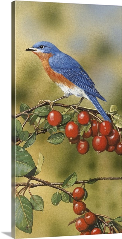 Bluebird | Great Big Canvas