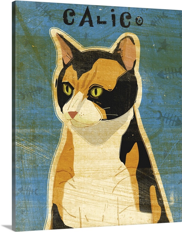 Calico | Great Big Canvas