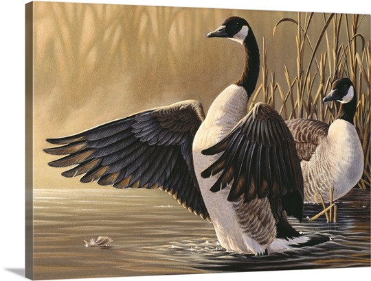 Canada Geese Wall Art, Canvas Prints, Framed Prints, Wall Peels | Great ...