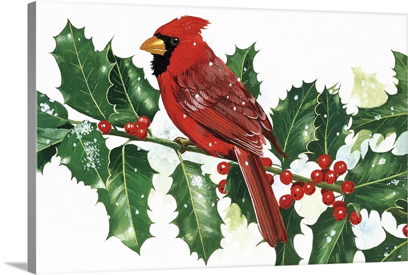 Cardinals And Holly | Great Big Canvas