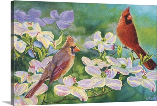 Cardinals Of Spring | Great Big Canvas