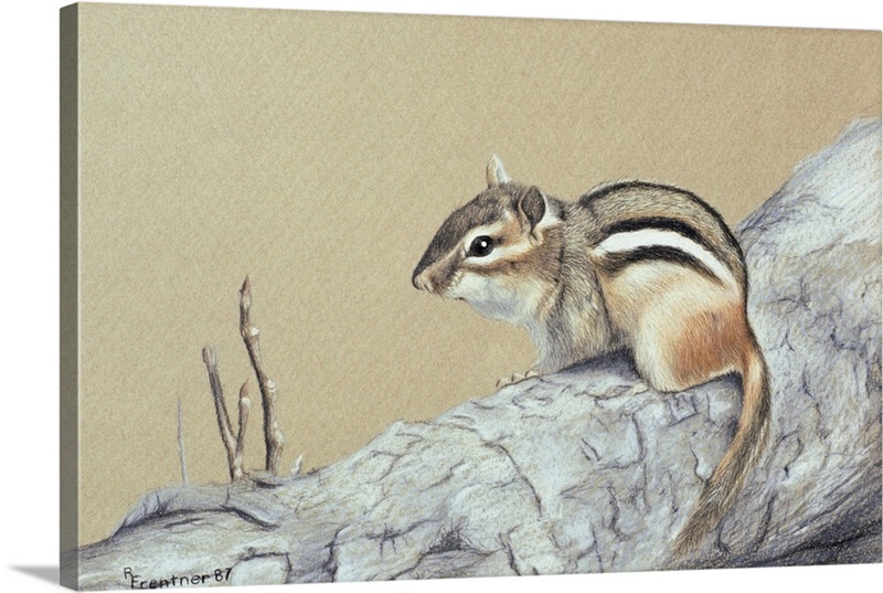 Chipmunk | Great Big Canvas