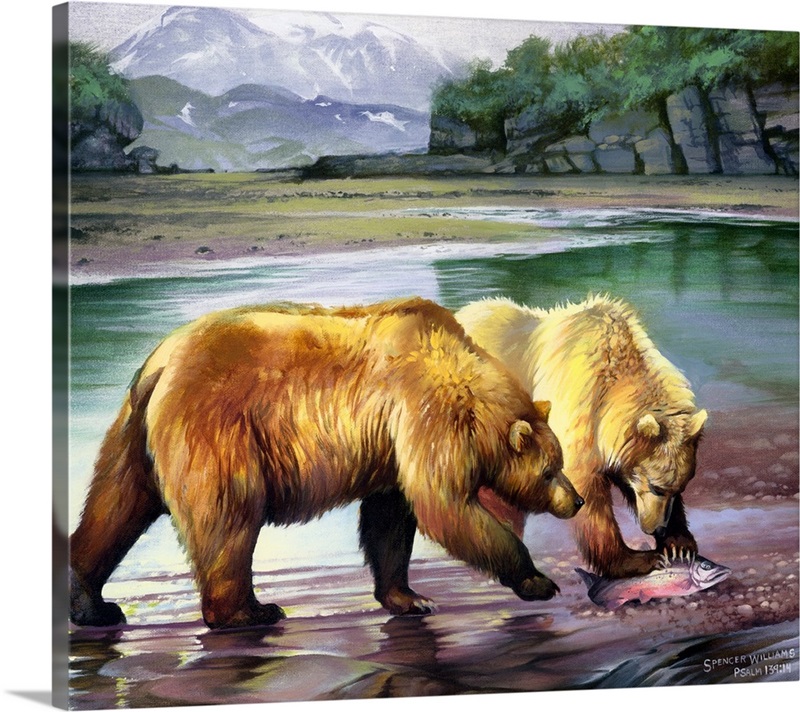 Coastal Grizz | Great Big Canvas