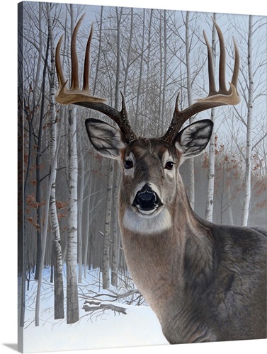 Deer | Great Big Canvas