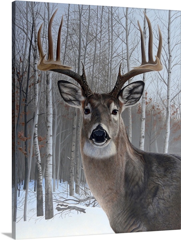 Deer | Great Big Canvas