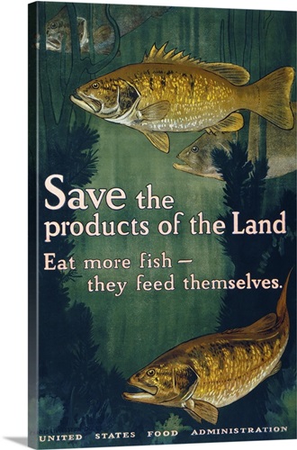 Eat More Fish | Great Big Canvas