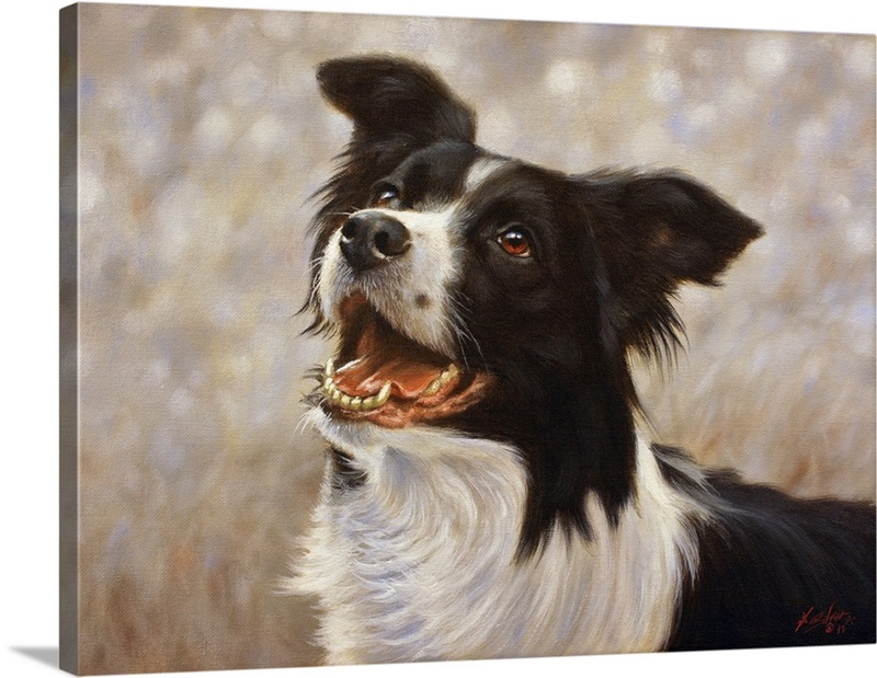 Excited Collie Wall Art, Canvas Prints, Framed Prints, Wall Peels ...