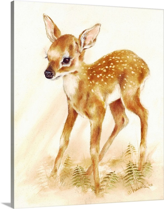 Fawn | Great Big Canvas