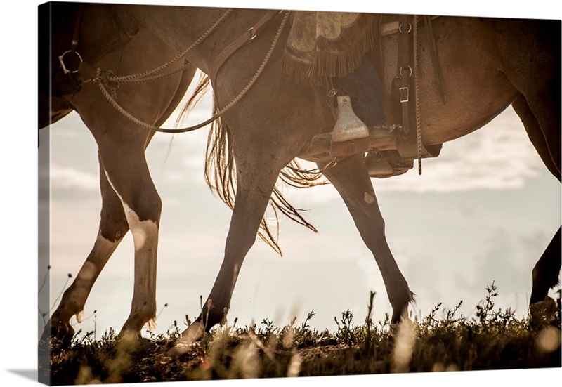 Gallop View | Great Big Canvas