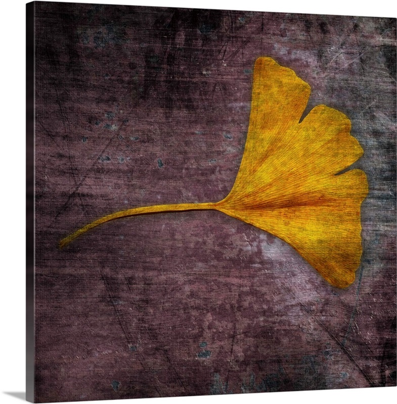 Gingko IV | Great Big Canvas