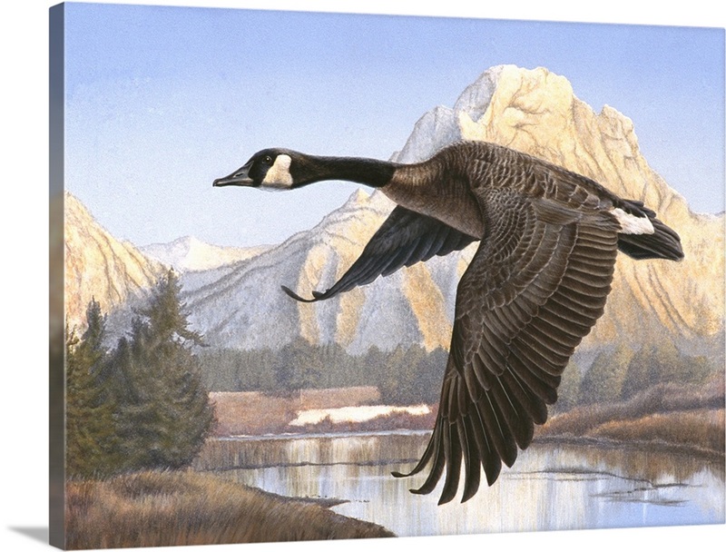 Goose Mountain | Great Big Canvas