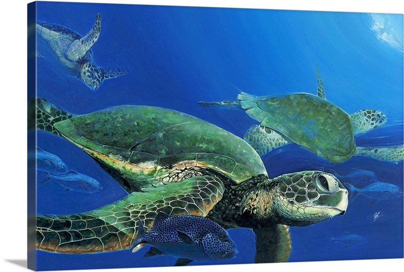 Green Sea Turtles | Great Big Canvas