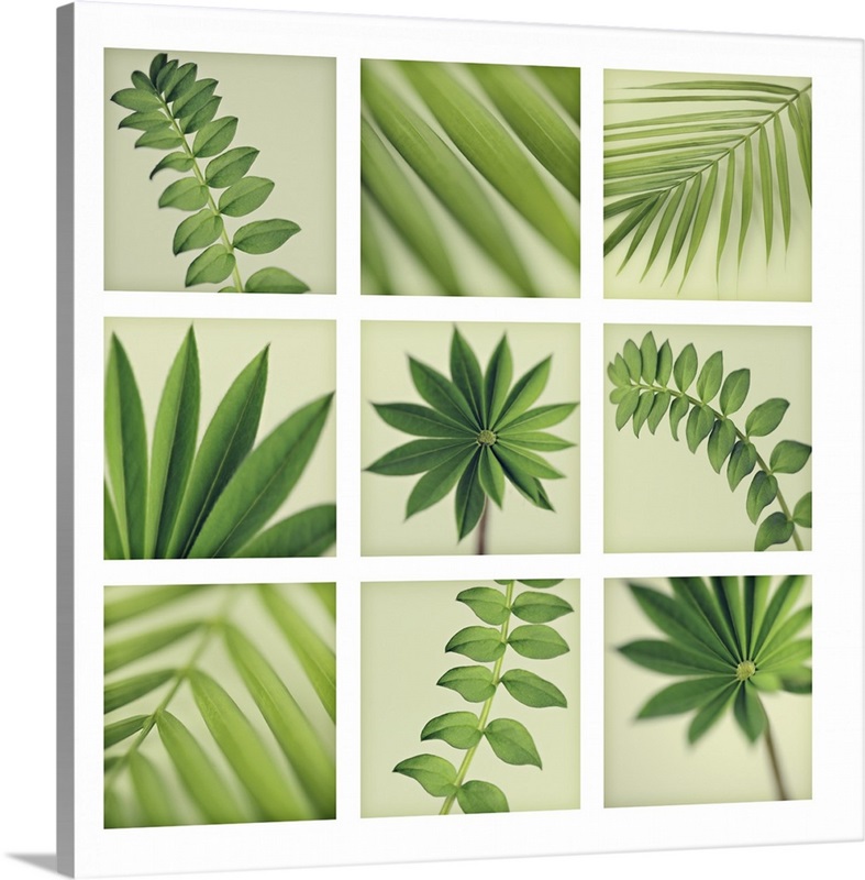 Grid of 9 Leaves | Great Big Canvas