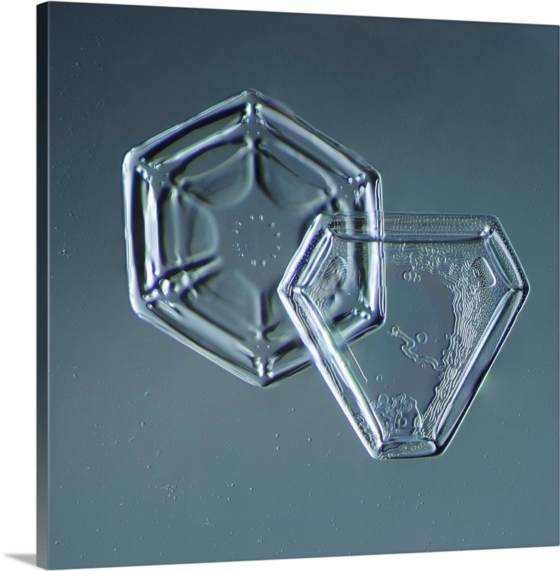 Hexagonal and Triangular Plate Snowflakes | Great Big Canvas