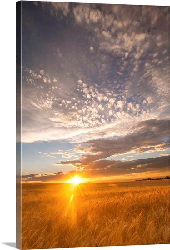 Horizon Sunrise | Great Big Canvas