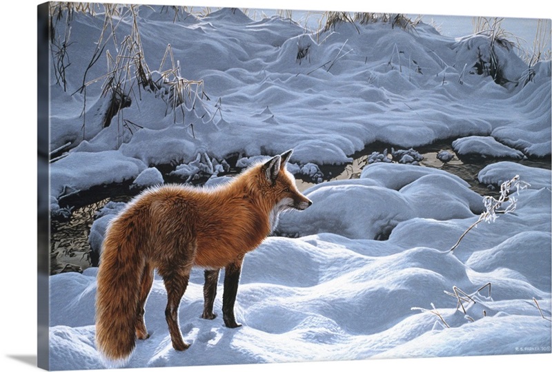 Icy Morning- Red Fox | Great Big Canvas