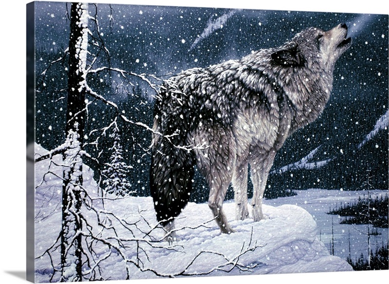 Lone Wolf | Great Big Canvas