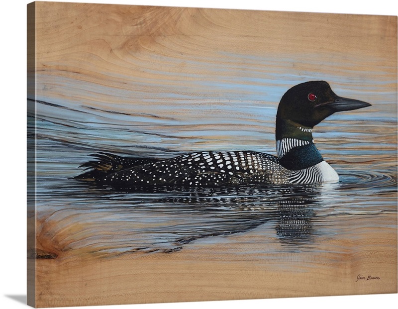 Loon Reflection Wall Art, Canvas Prints, Framed Prints, Wall Peels ...